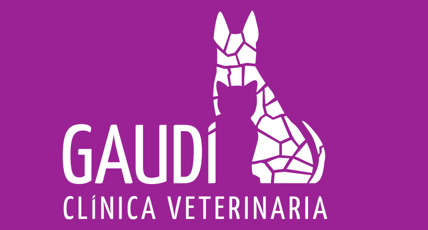 Veterinaria Inicio